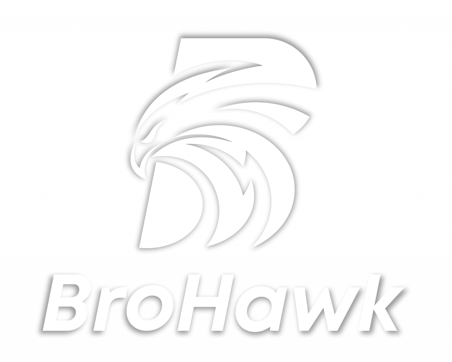 BroHawk Inc.